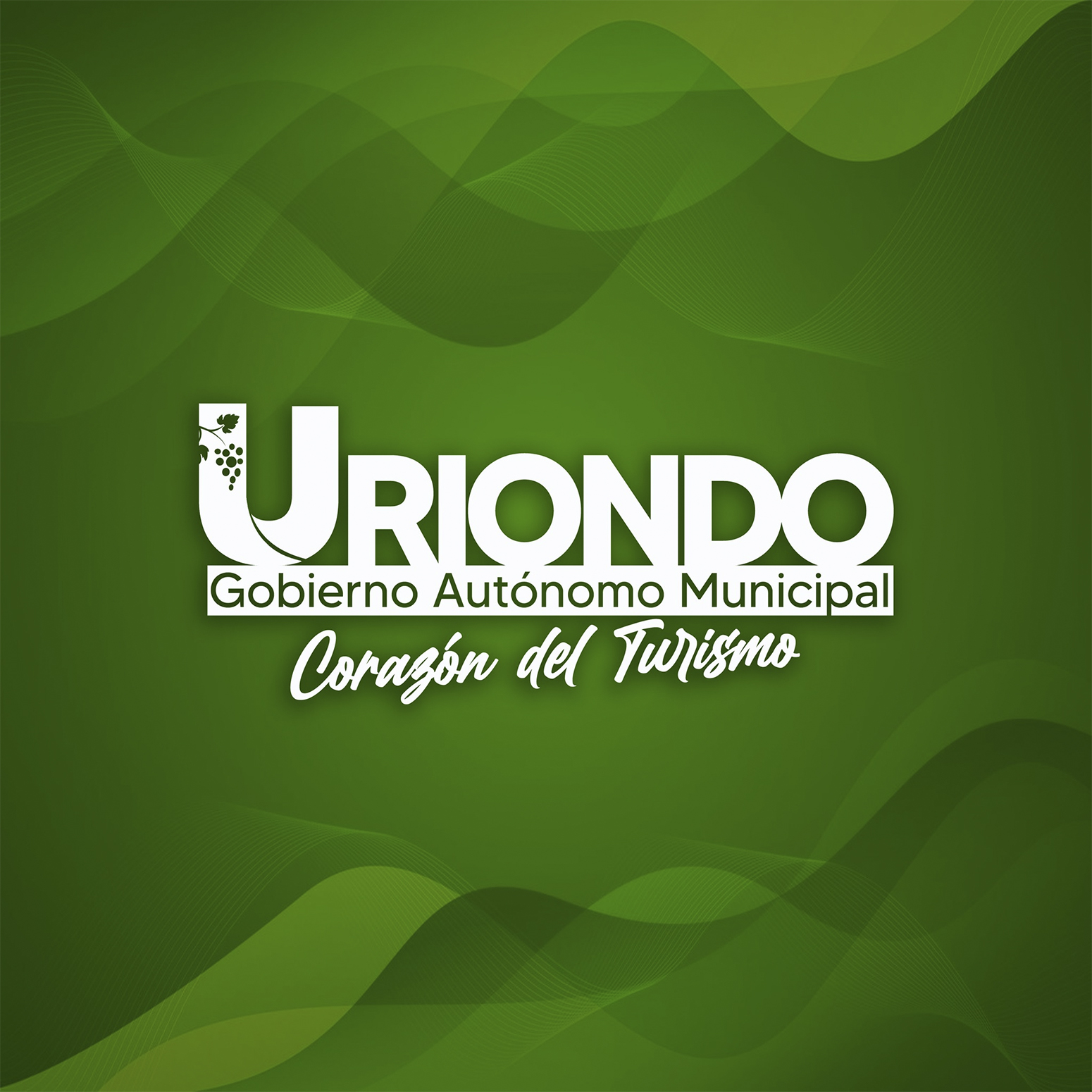 Instituto Técnico Domingo Savio Tarija