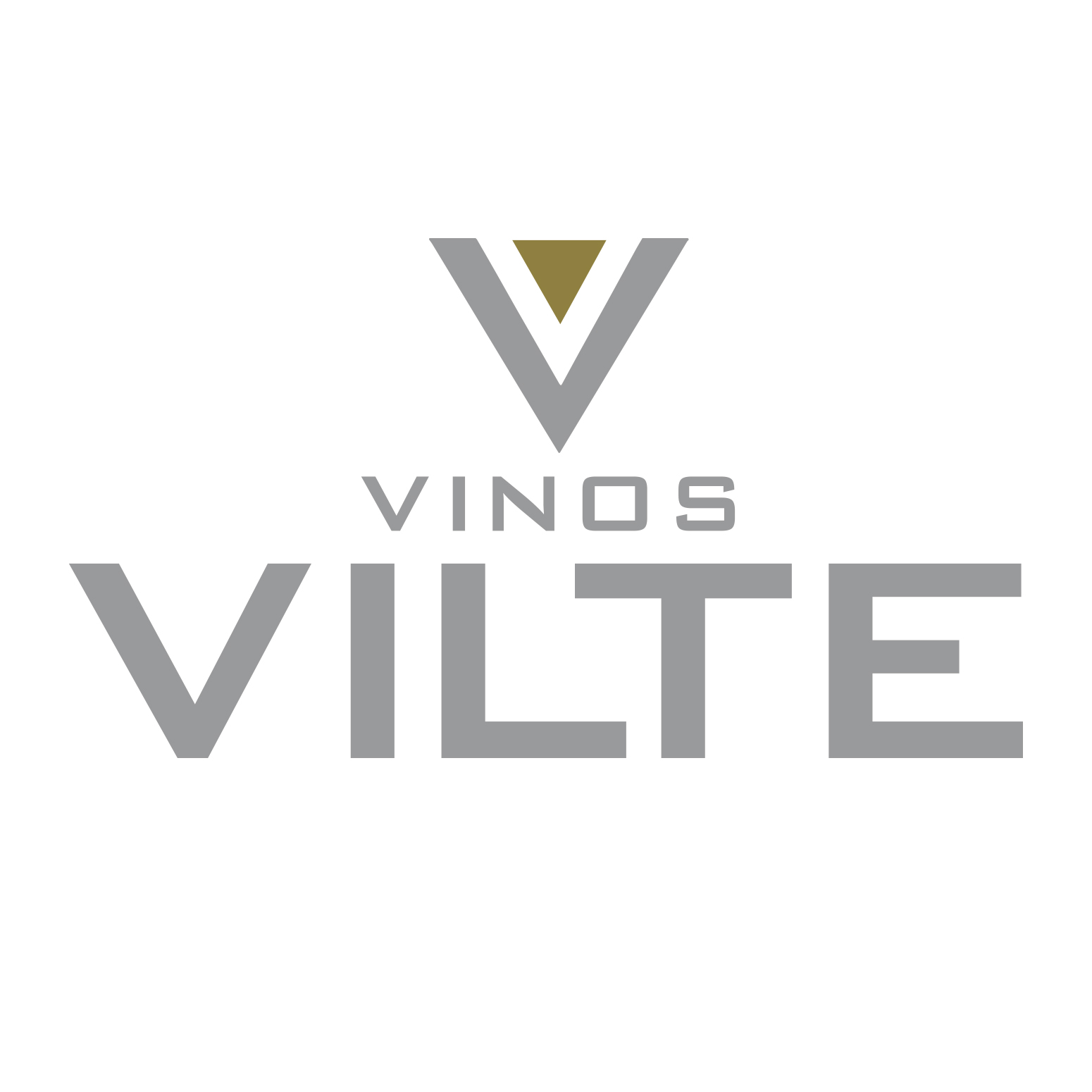 Instituto Técnico Domingo Savio Tarija